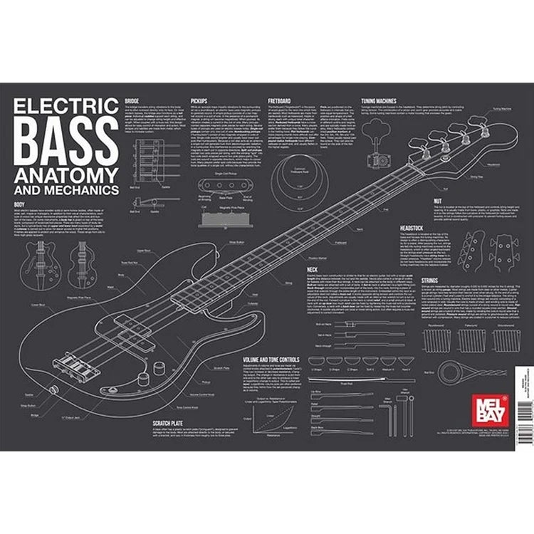Electric Bass Anatomy and Mechanics Wall Chart / Poster 35" x 24" MB30 ...